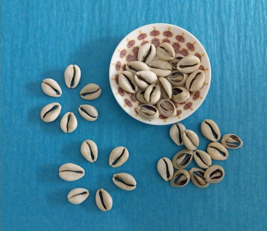 Natural XL cowrie shells, kauri shell, shell application for bags, jew ...